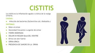 Sistema urinario | PPTX