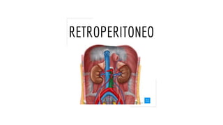 Sistema urinario | PPTX