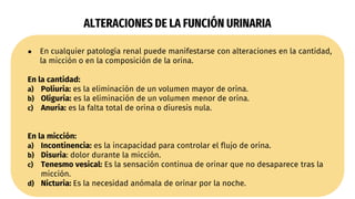 SISTEMA URINARIO.pptx