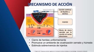 Sistema vac | PPTX