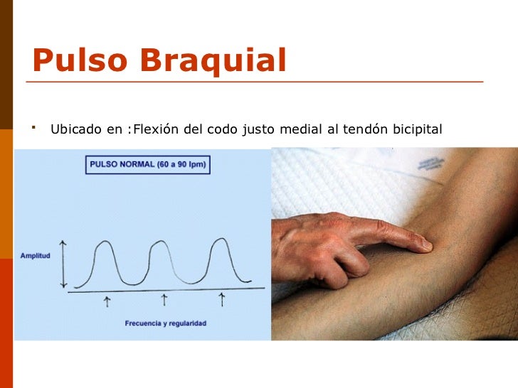 Sistema vascular periferico