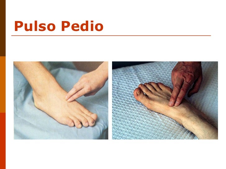 Sistema vascular periferico