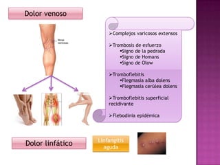 Sistema vascular semiologia parte 1 | PPTX