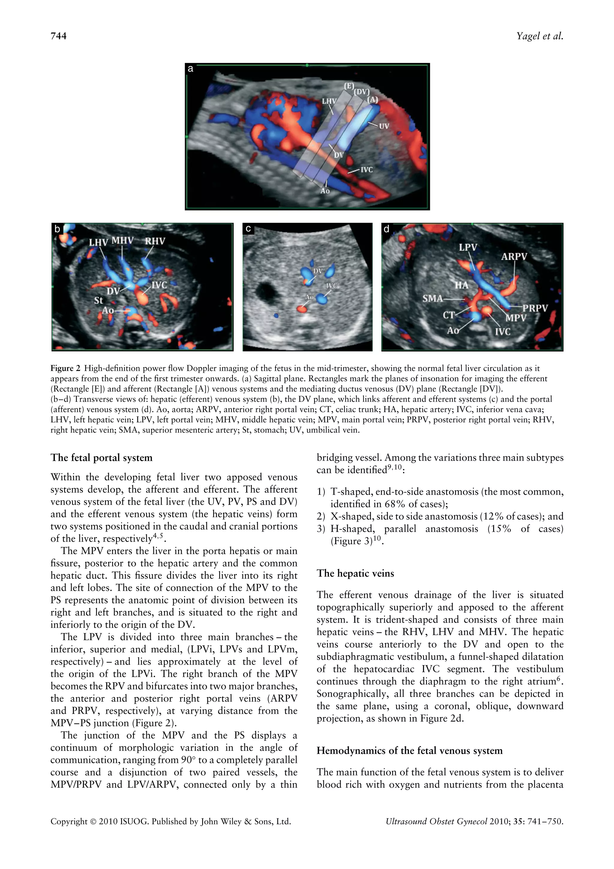 The fetal venous system, Part I | PDF