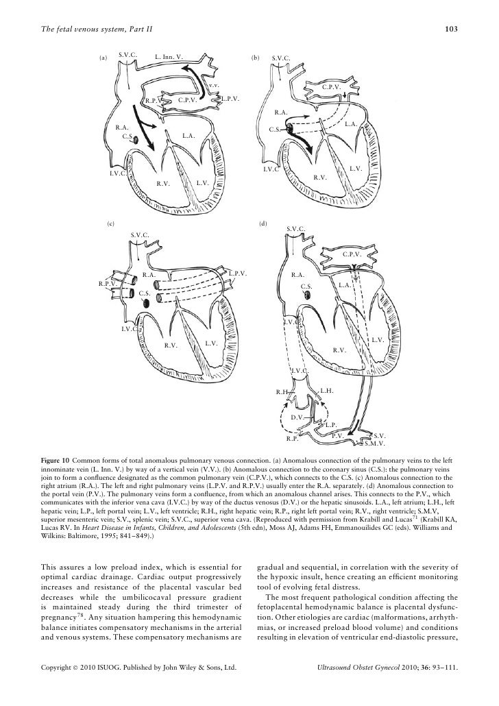 The Fetal Venous System Part Ii