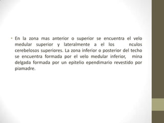 Sistema ventricular y liquido cefaloraquideo | PPTX