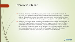 SISTEMA VESTIBULAR.pptx