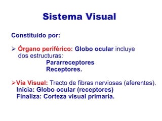 Sistema visual vías visuales y sistema de la retina.pptx