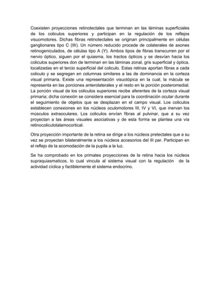 Sistema visual ( trabajo escrito) | DOCX