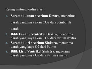 SISTEM CARDIOVASCULER.pptx