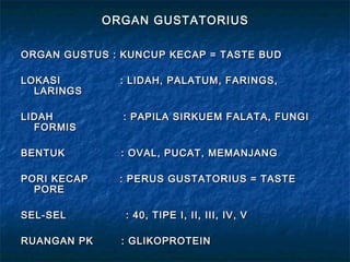 Sistem pencernaan | PPT