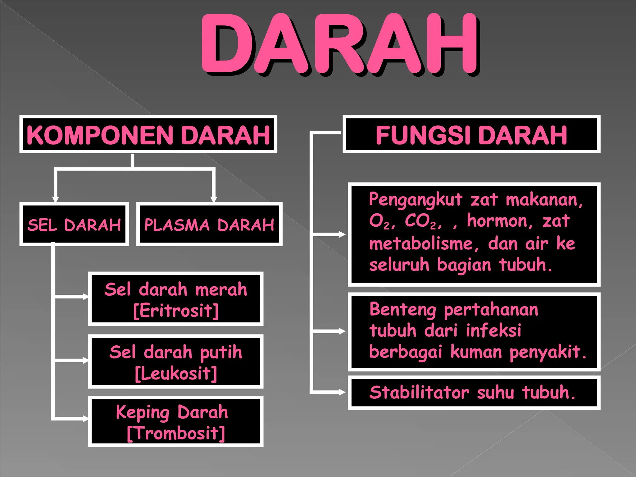 Anatomi sistem darah pada manusia lengkap.ppt