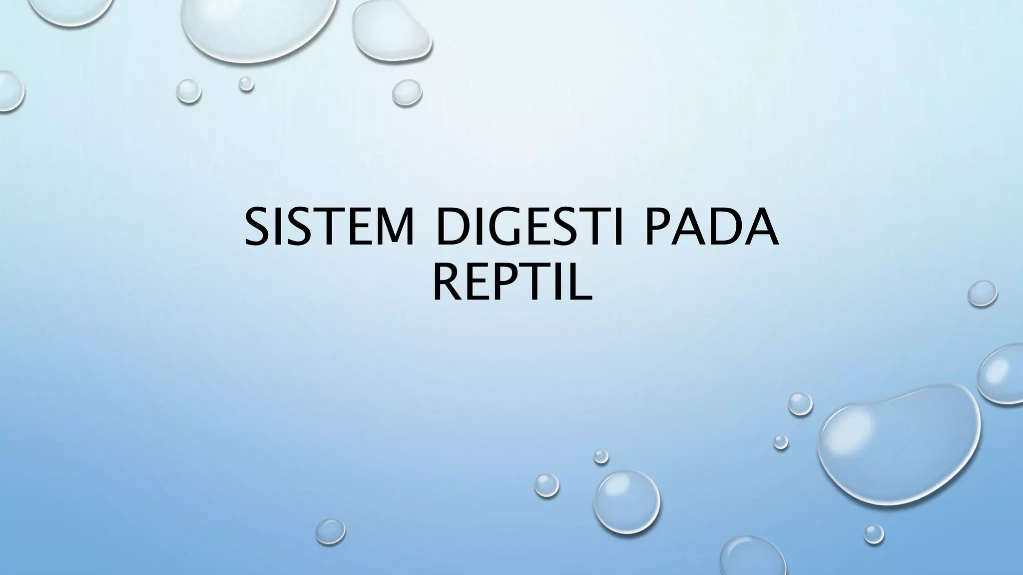Sistem digesti pada reptil | PPTX