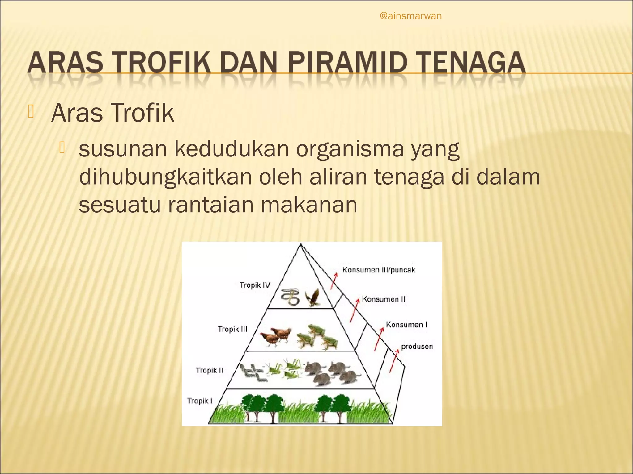 Sistem ekologi rantaian mkn | PPT