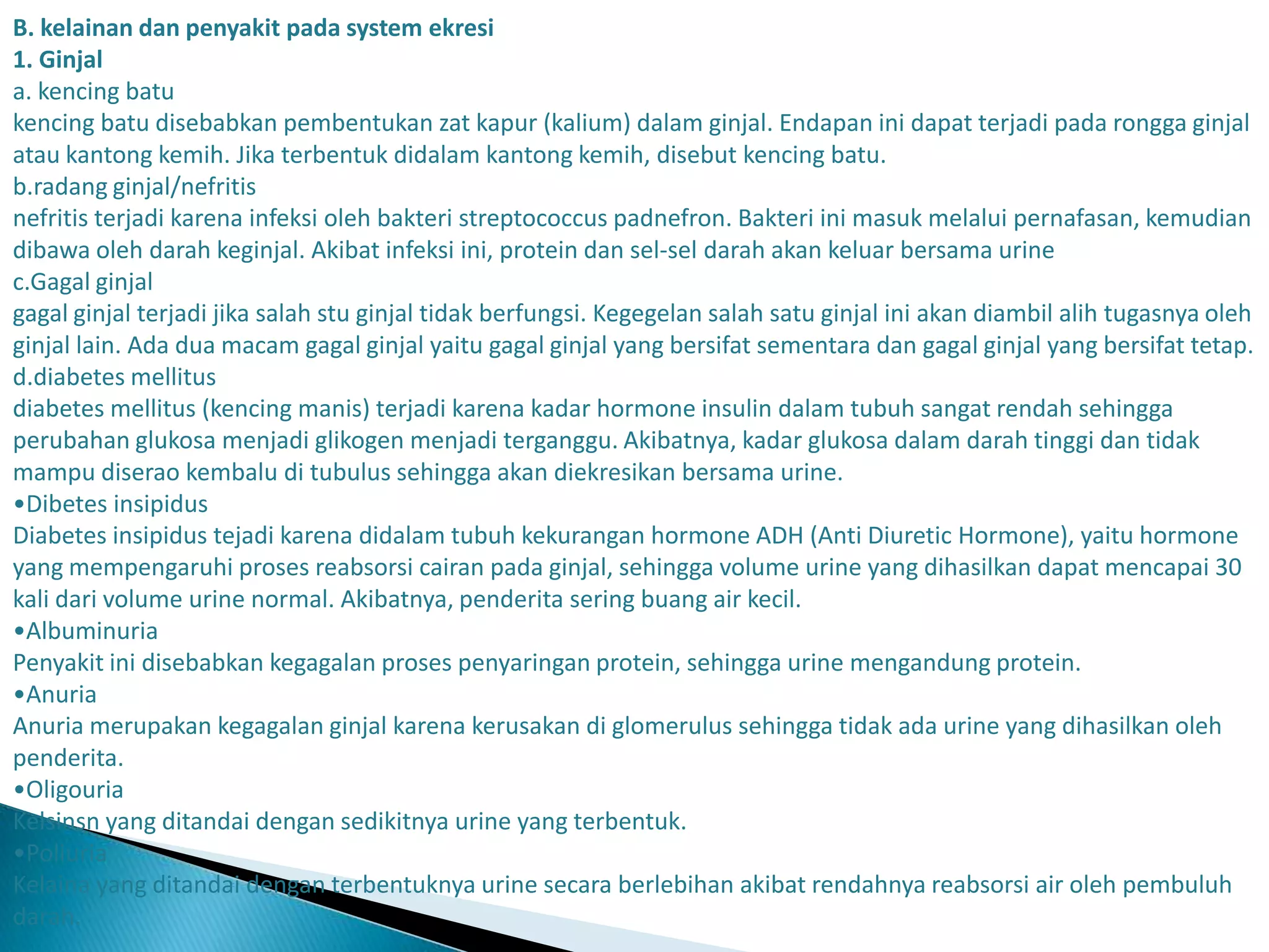 Sistem ekresi pada manusia | PPTX