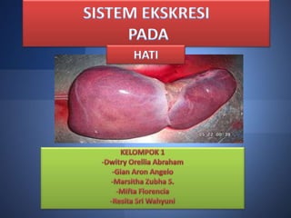 Sistem ekskresi pada HATI | PPTX