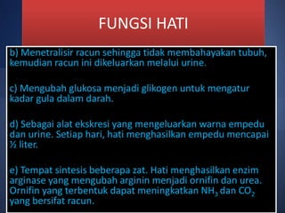 Sistem ekskresi pada HATI | PPTX