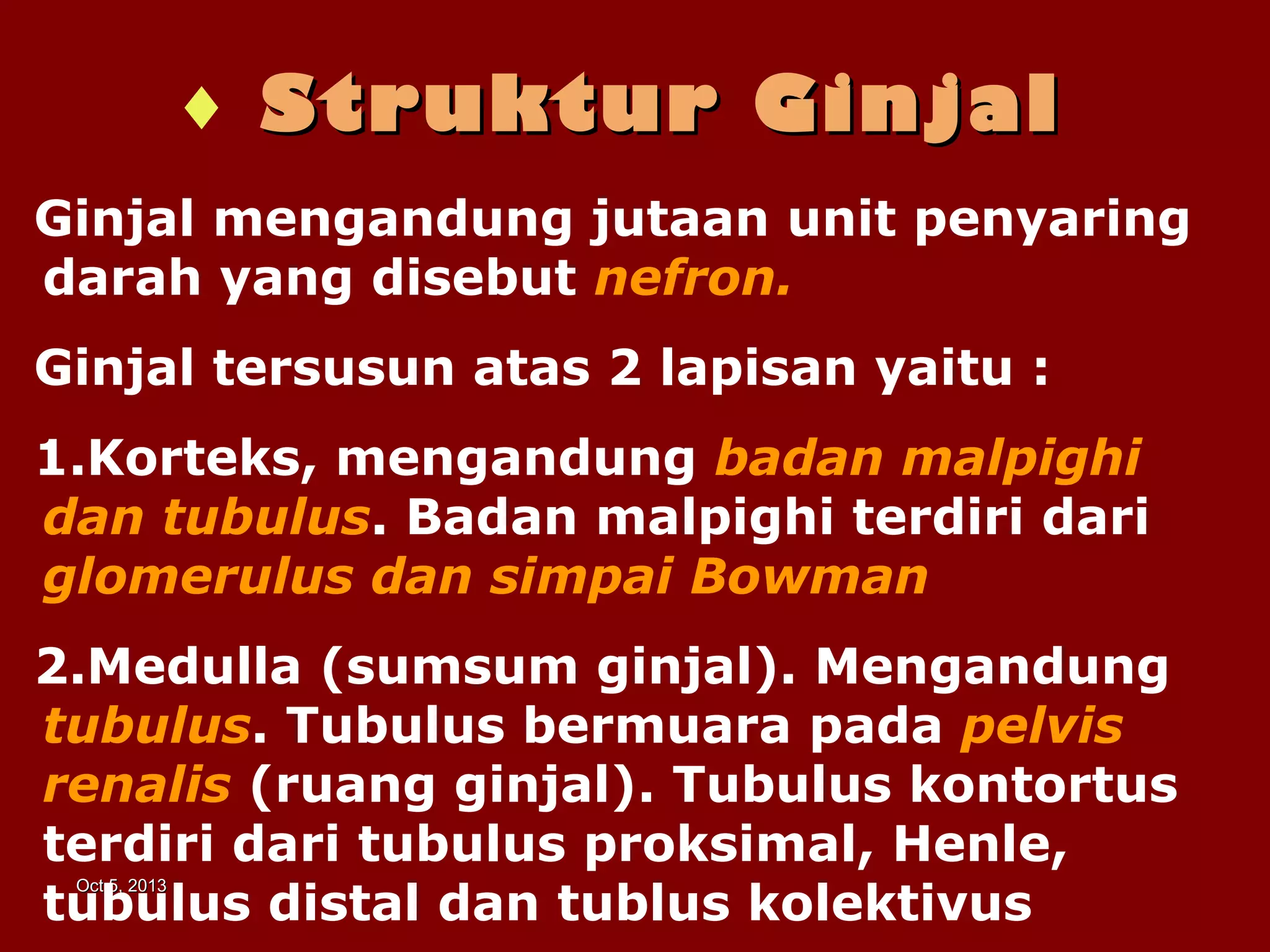 Sistem ekskresi | PPT