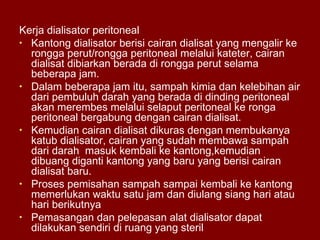 Sistem ekskresi | PPT