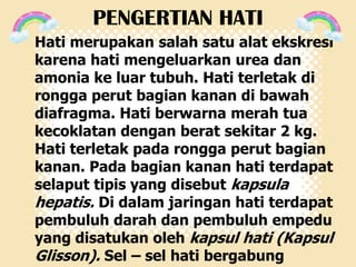 Sistem ekskresi | PPTX