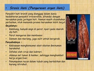 Sistem ekskresi | PPT