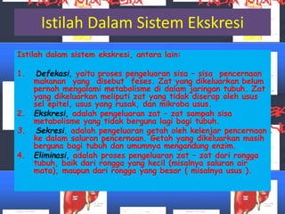 Sistem ekskresi | PPTX