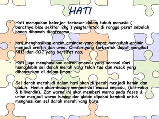 Sistem ekskresi | PPT