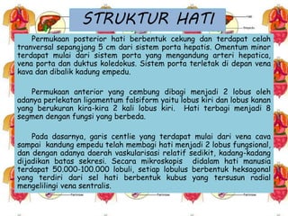 Sistem ekskresi | PPT