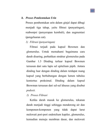 Sistem ekskresi | PDF