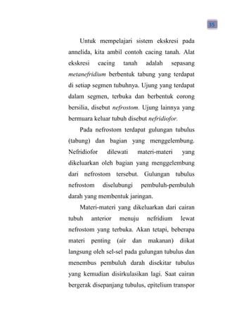 Buku Sistem ekskresi (Nihayatu Thoyyibah) | PDF