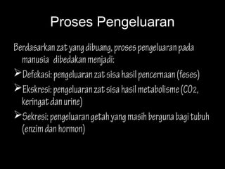 SISTEM EKSKRESI PADA MANUSIA (KELAS 11) | PPT