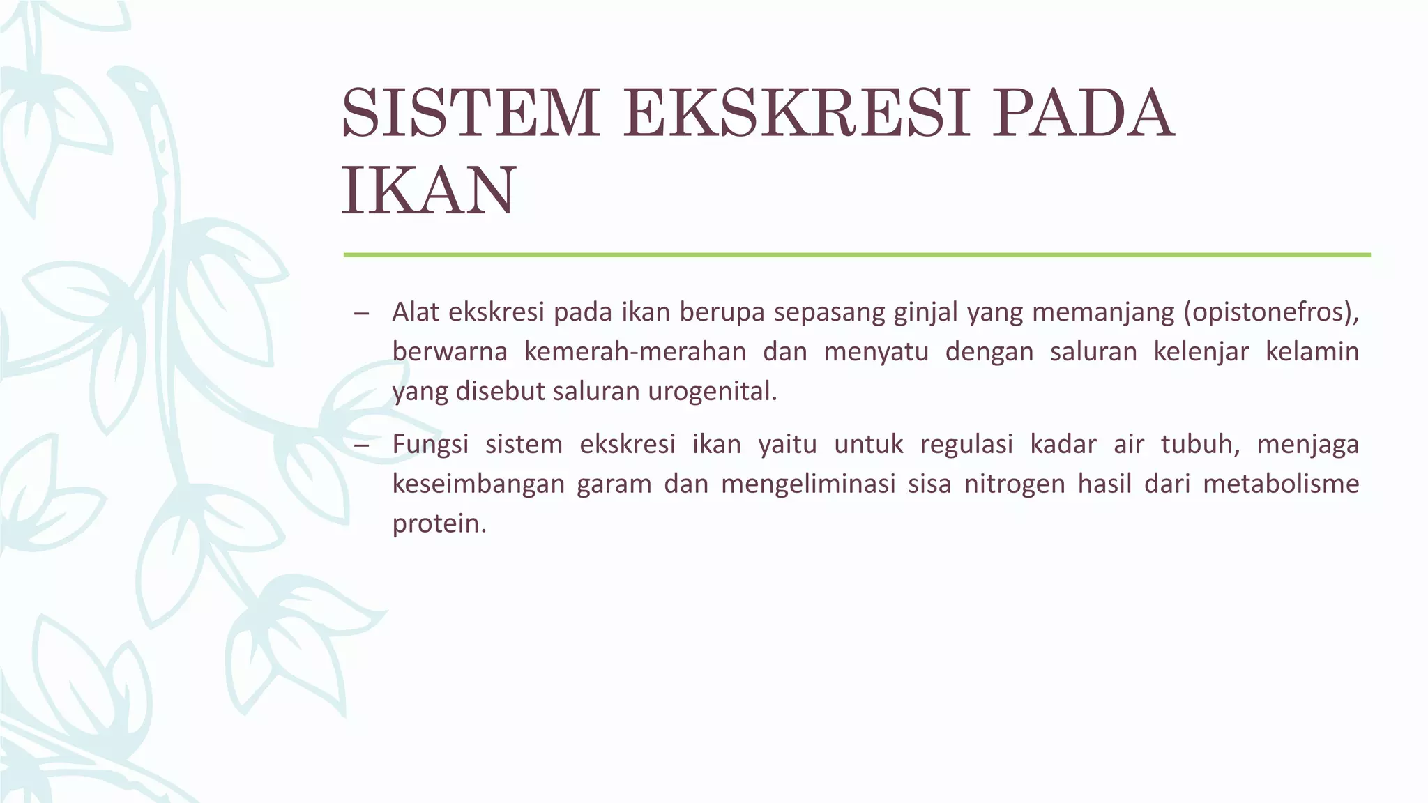 SISTEM EKSKRESI.pptx