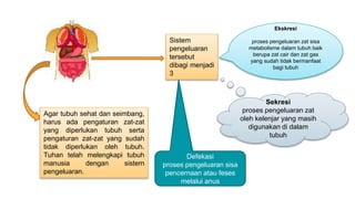 Sistem Ekskresi.pptx