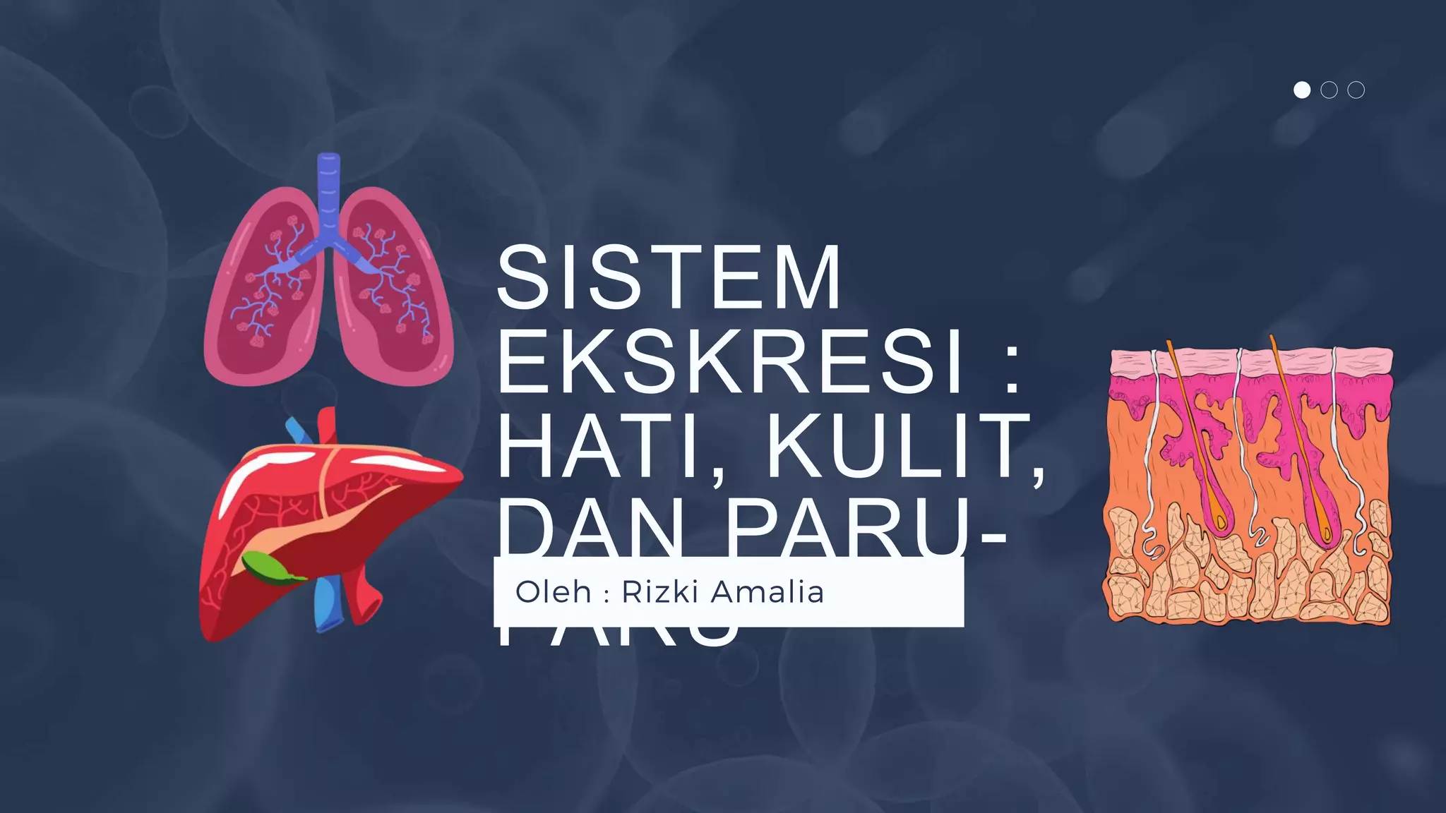Sistem Ekskresi organ hati, paru-paru dan kulit.pptx