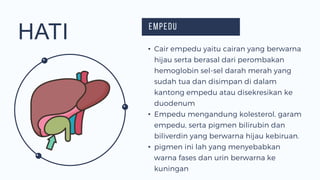 Sistem Ekskresi organ hati, paru-paru dan kulit.pptx