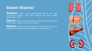 Sistem Ekskresi pada siswa smp kelas 8.pptx