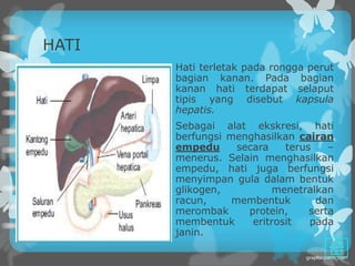 Sistem Ekskresi Manusia | PPTX