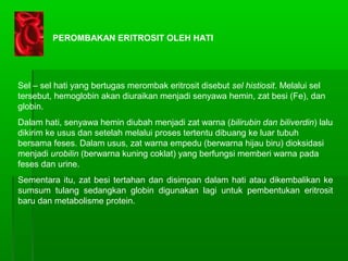 Sistem ekskresi 3 | PPT