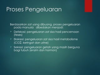 Sistem Ekskresi dan Kelainan pada manusia | PPT