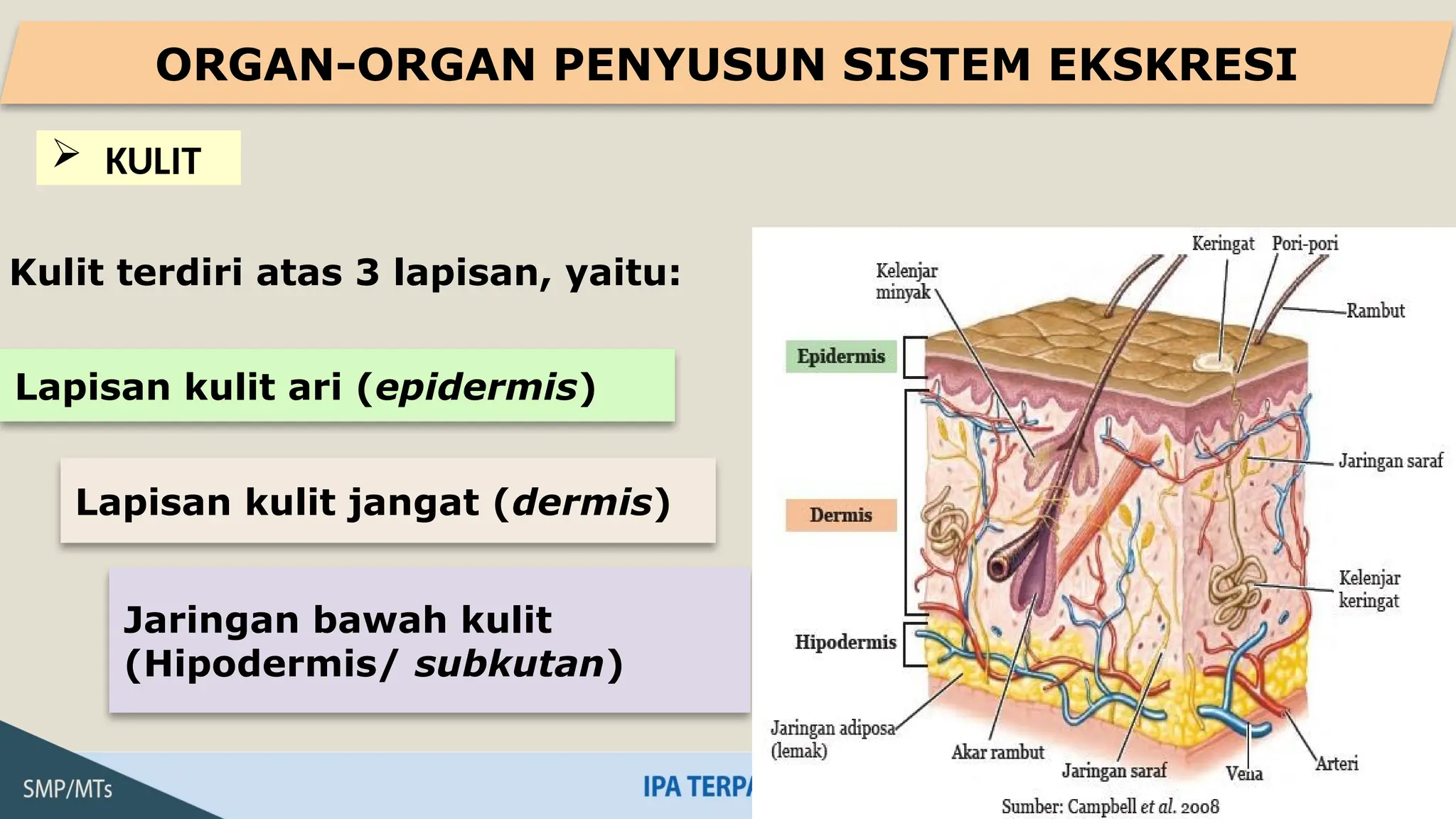 Sistem Ekskresi IPA kls 8.pptx.siswa smp | PPTX