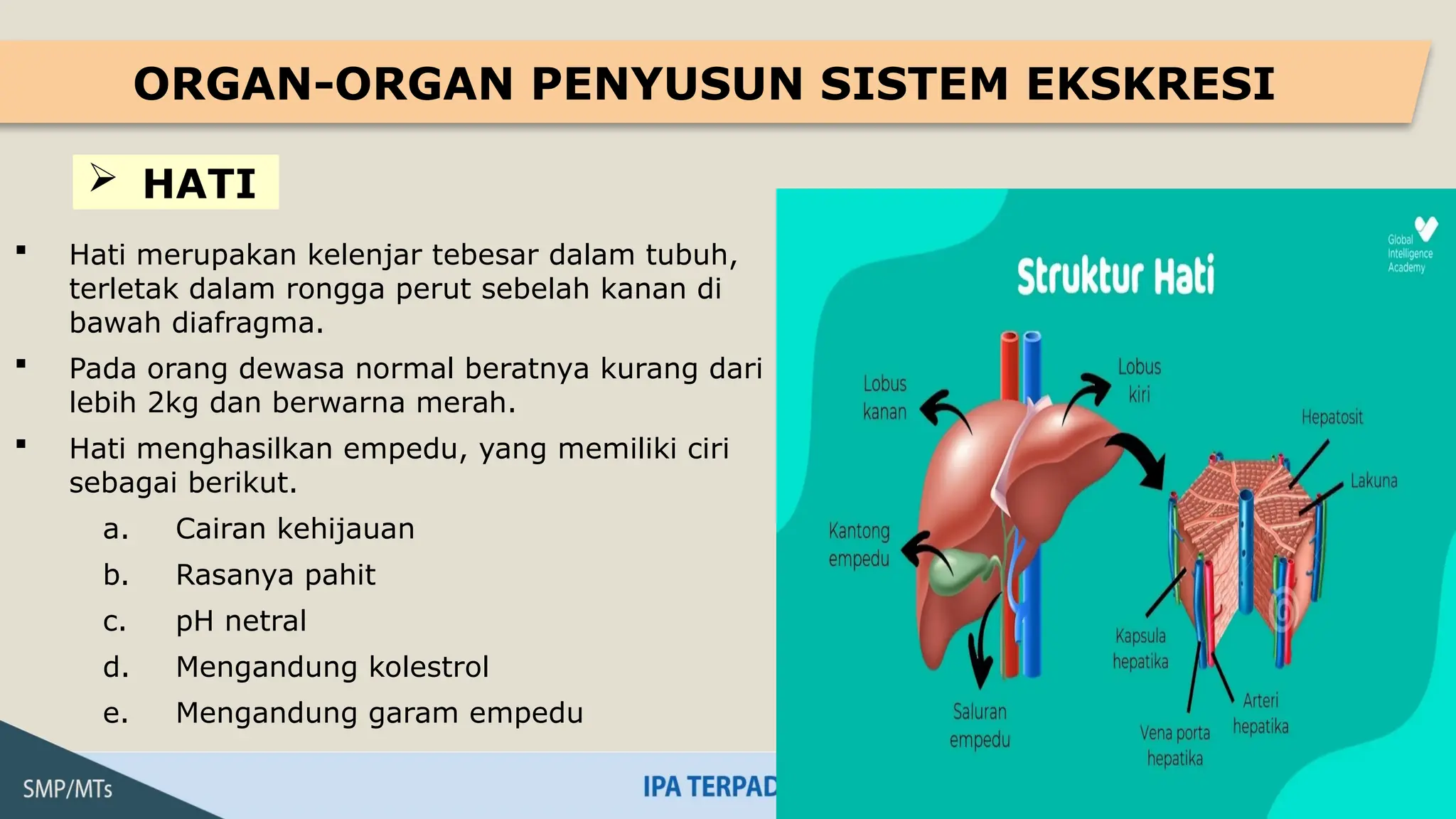 Sistem Ekskresi IPA kls 8.pptx.siswa smp | PPTX