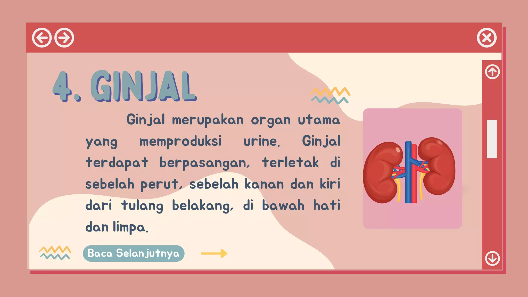 SISTEM EKSKRESI KELOMPOK 6.pdf