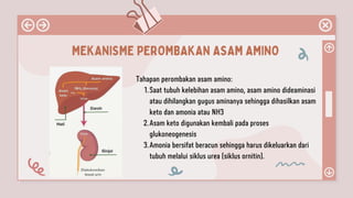 SISTEM EKSKRESI KELOMPOK 6.pdf