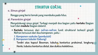 SISTEM EKSKRESI KELOMPOK 6.pdf