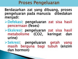 Sistem Ekskresi Pada Manusia | PPTX