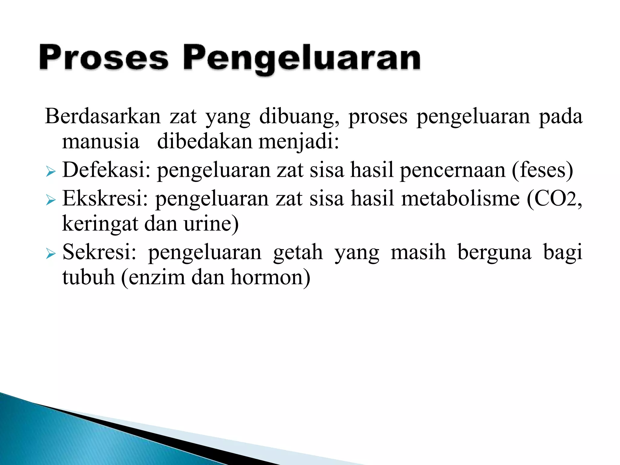 Sistem Ekskresi Manusia.ppt
