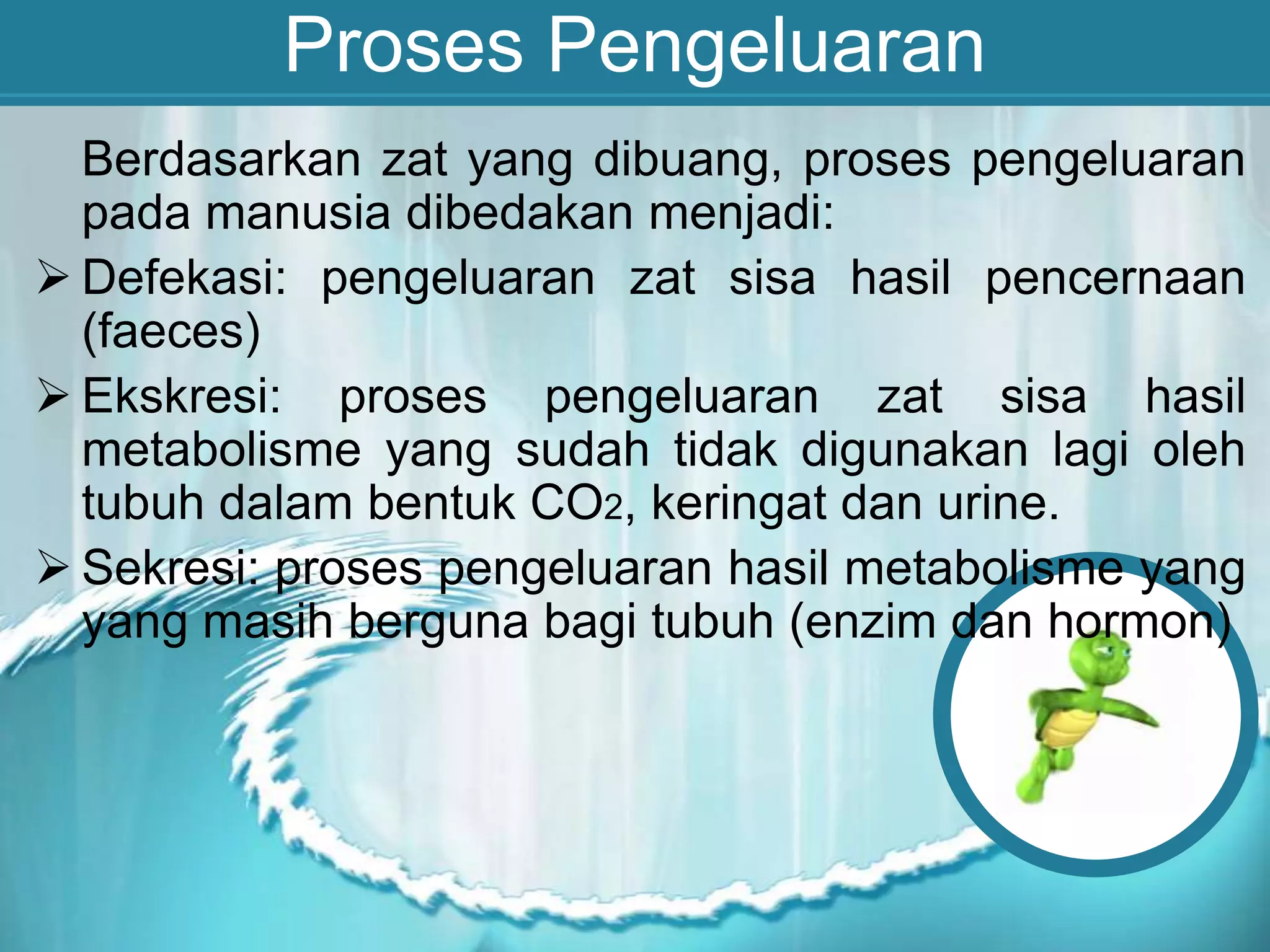 Sistem ekskresi manusia (asli) | PPTX