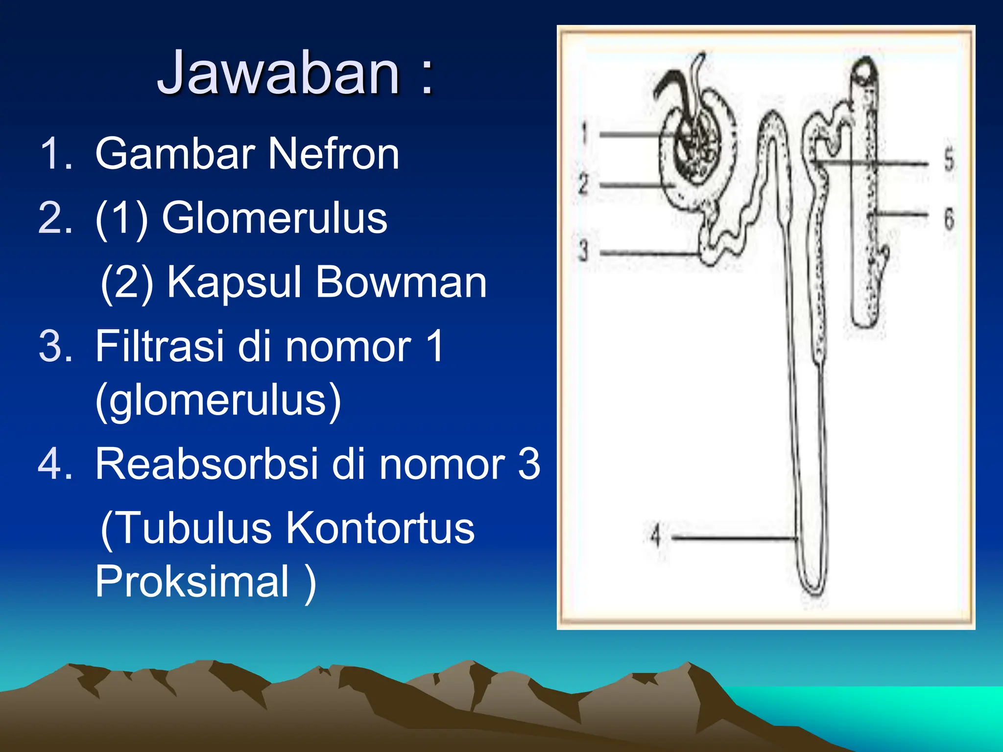 Sistem Ekskresi Pada Manusia Kelas 8 SMP | PPT