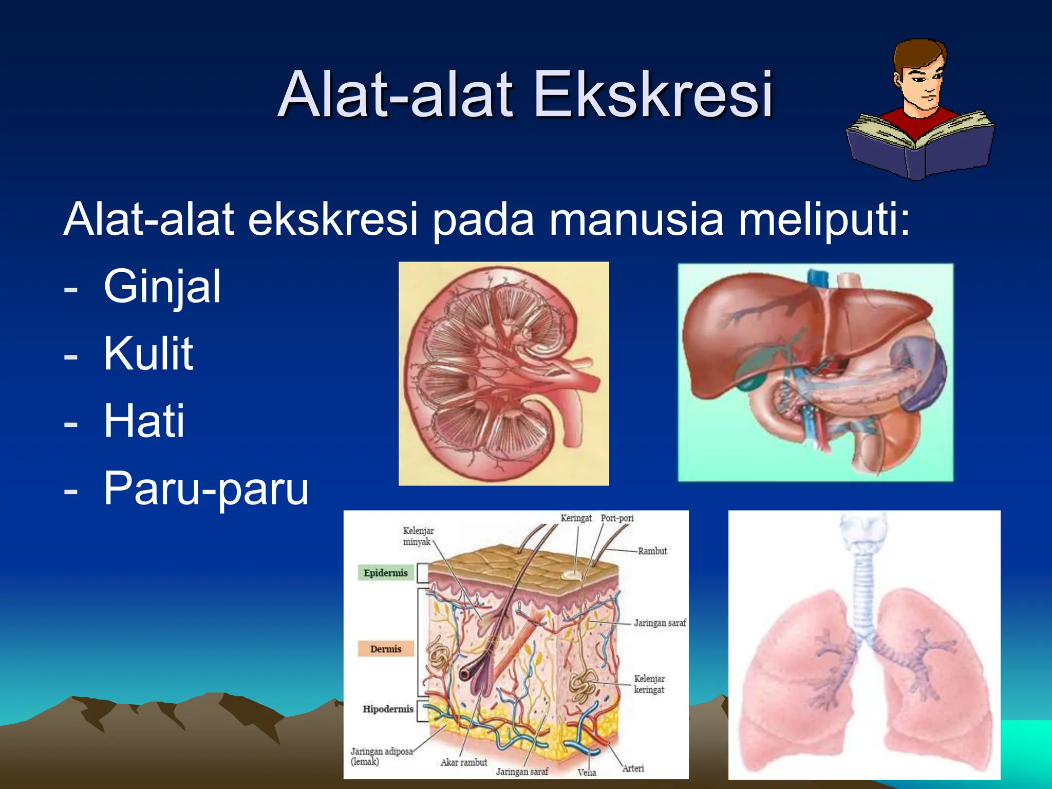 Sistem Ekskresi Pada Manusia Kelas 8 SMP | PPT