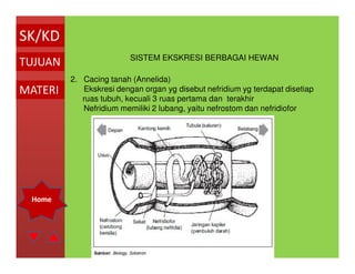 Sistem ekskresi oleh ismail | PDF